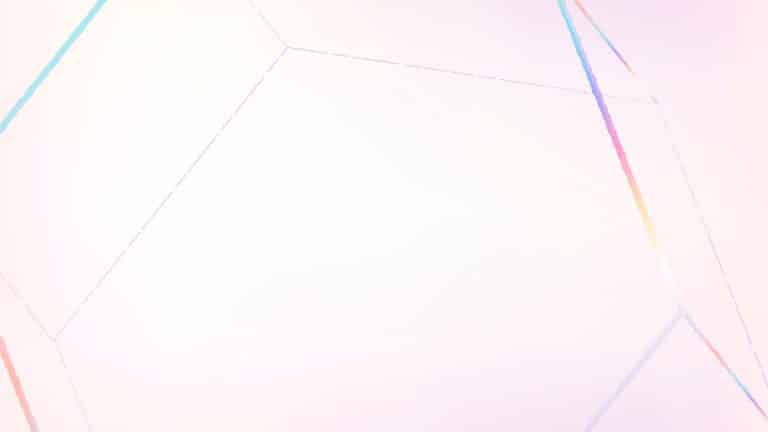 Developer guides - Deep Netts